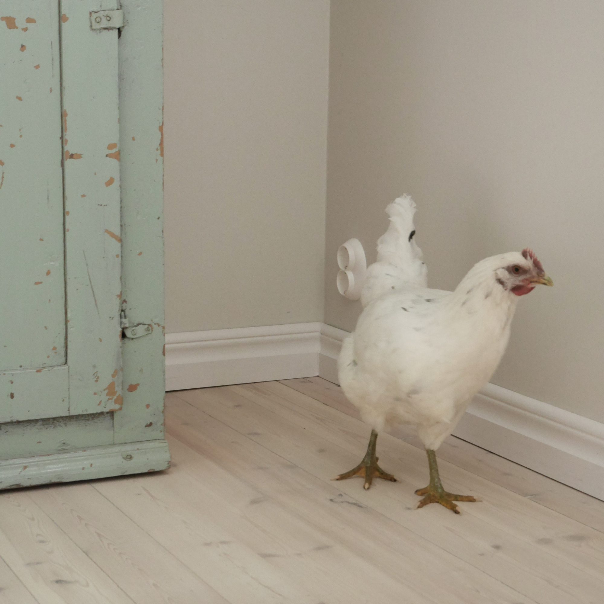 Både egg og hus i påskepasteller - LADY Inspirasjonsblogg